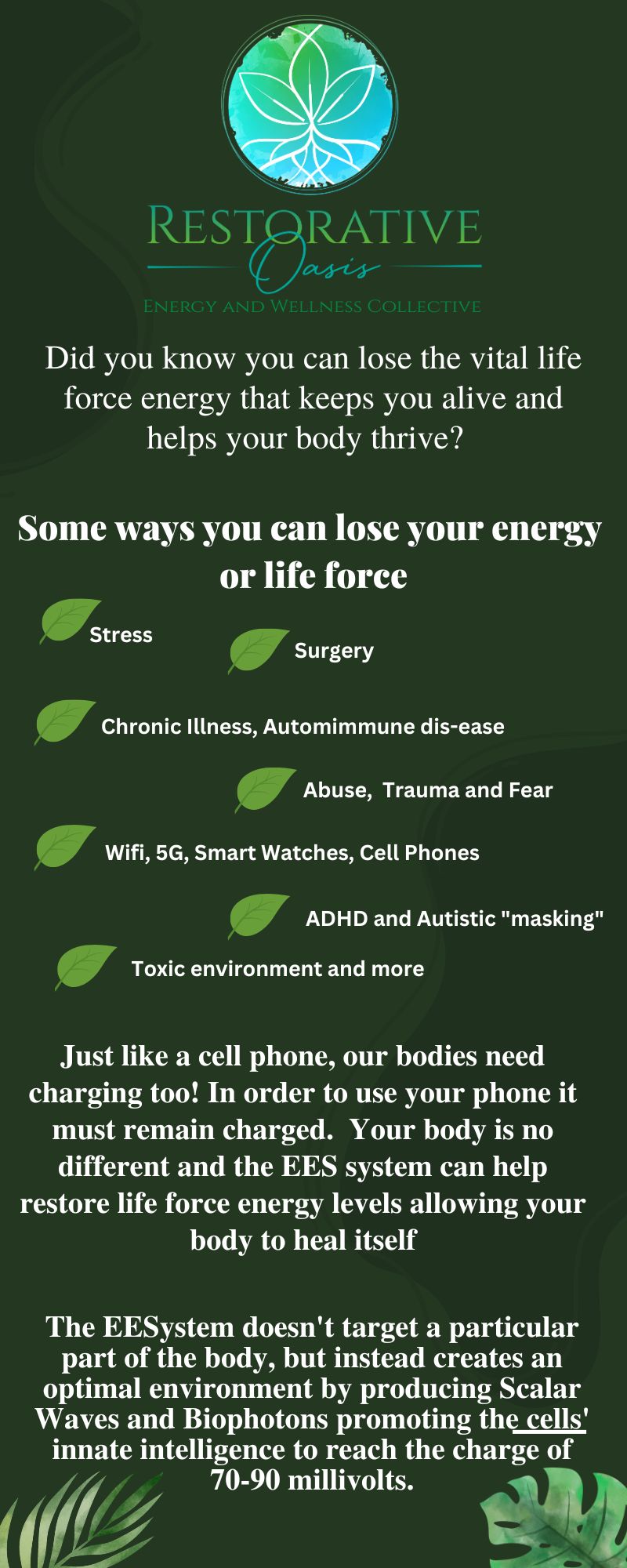 Energy Enhancement System (EES) – Rhianna Mays, Energy Transformer ...